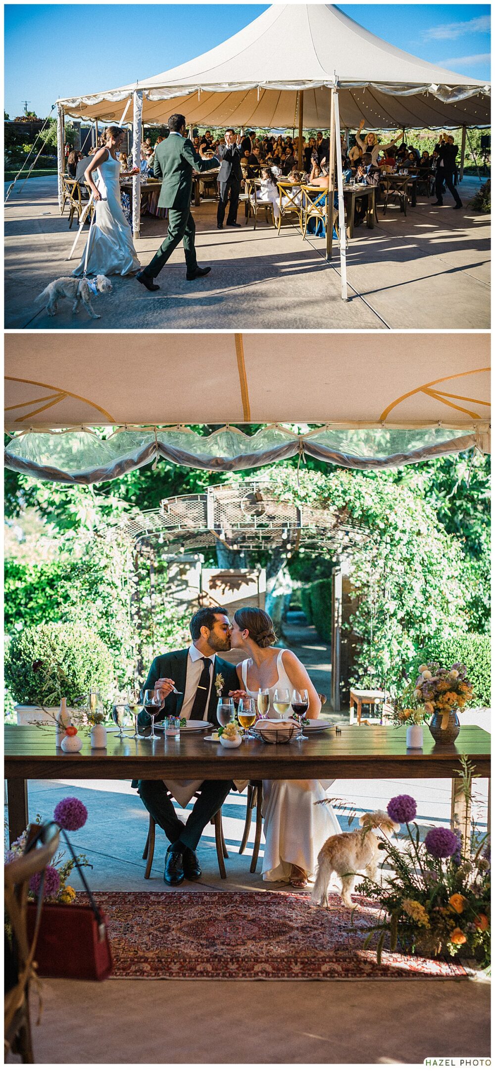 Exhaustive Guide to Bay Area Wedding Venues – Hazel Photo Weddings